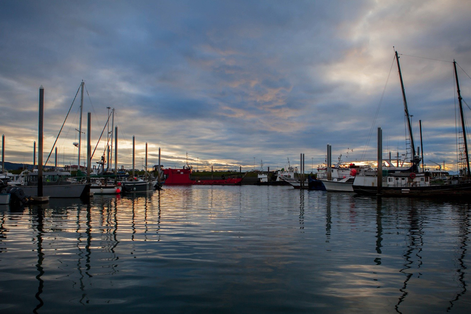 Alaskan Fishing Adventures - Align Multimedia